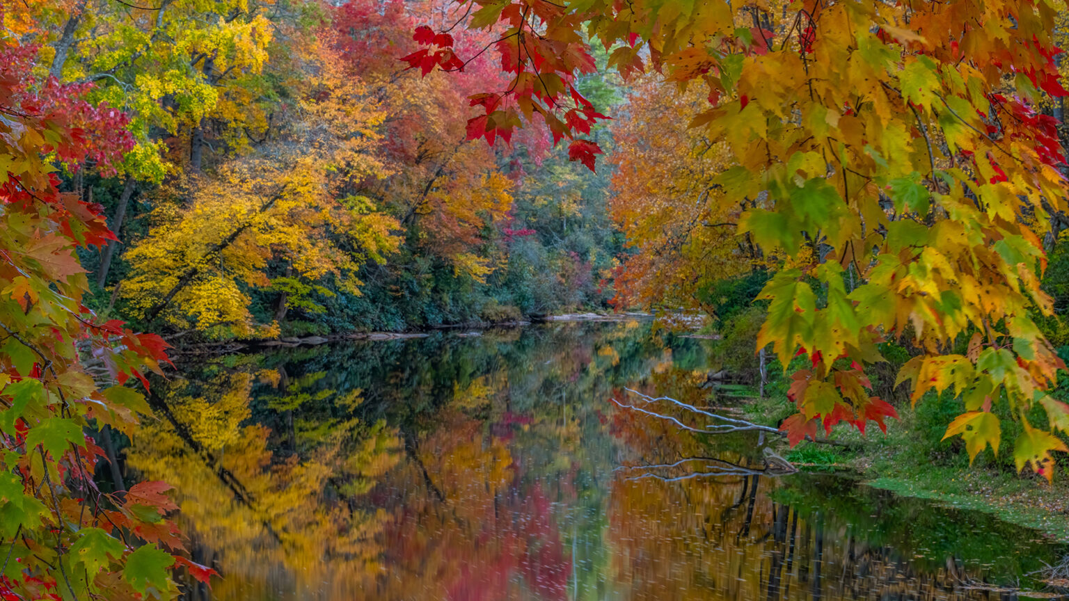 Fall Color Report - WataugaOnline.com